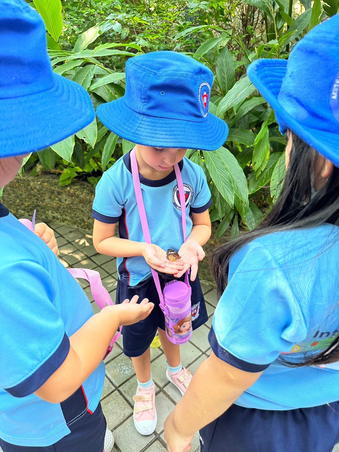 Kindergarten Butterfly Farm Excursion