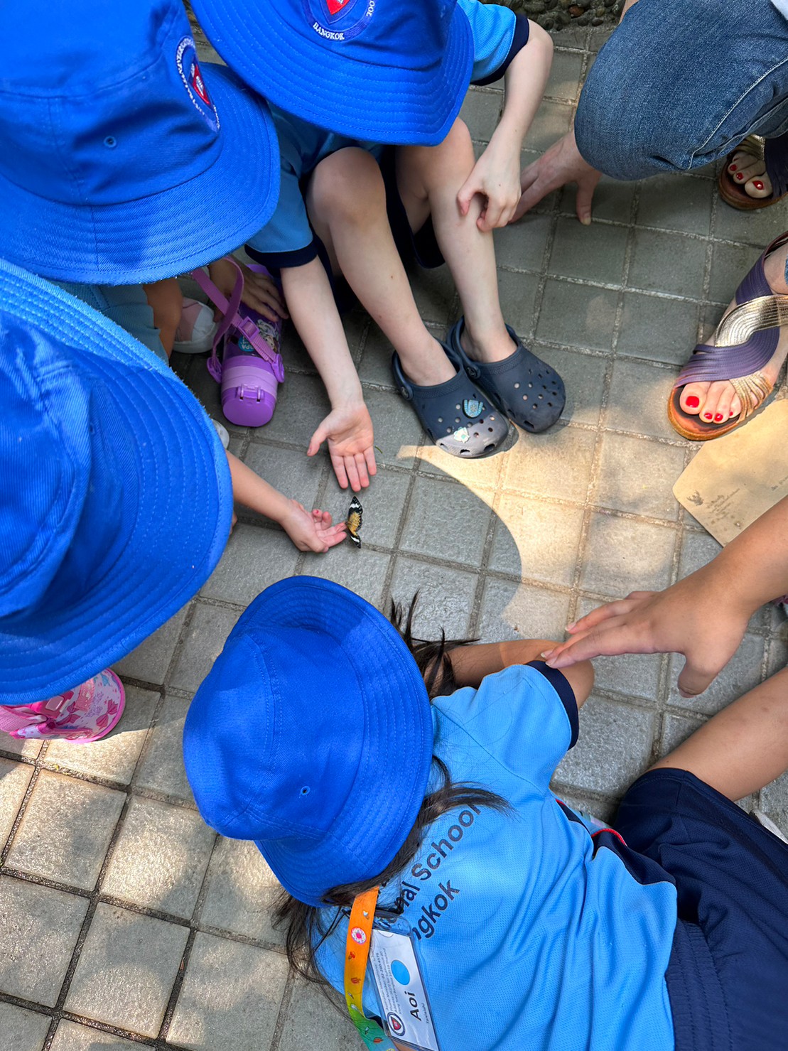 Kindergarten Butterfly Farm Excursion