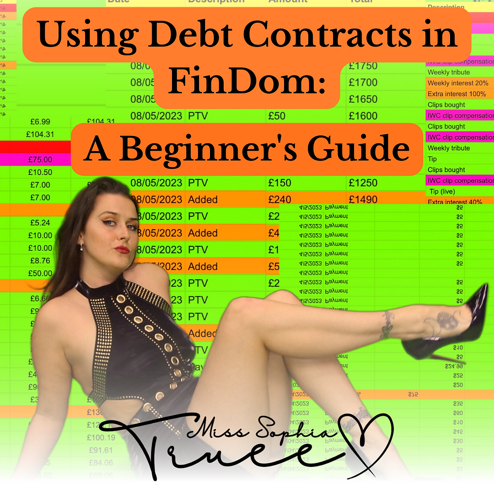 Using Debt Contracts in FinDom: A Beginner's Guide