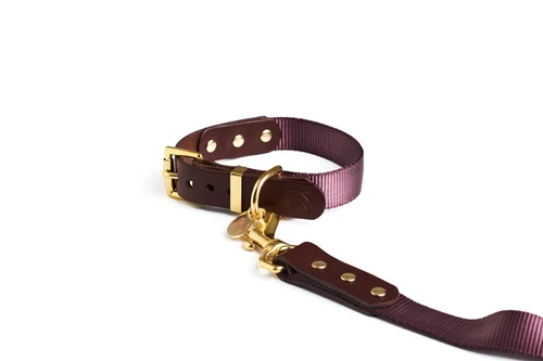 LEATHER & WEBBING COLLAR | Aurora Paws
