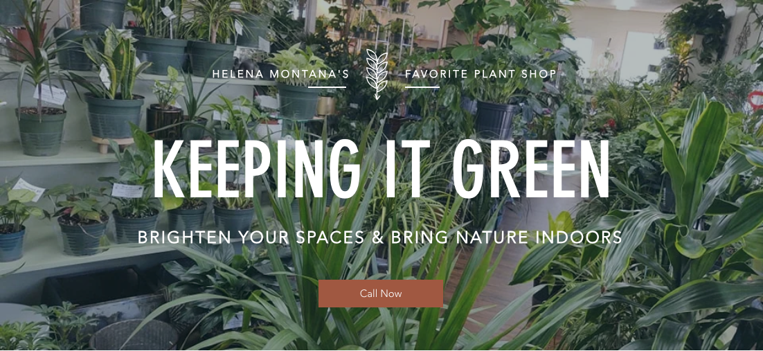 Keeping It Green | Helena's Plant Store