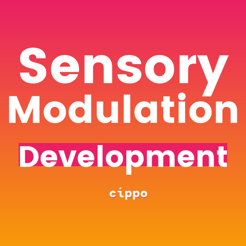 Sensory Modulation Development | CIPPO Egypt