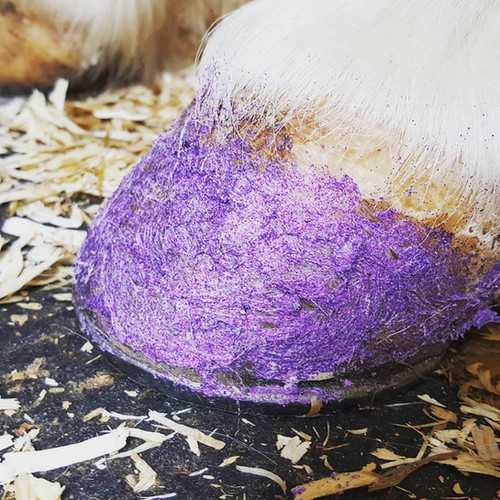 Unicorn Sparkles "Eco-Glitter" Hoof Balm 50ml | Unicornsparkles