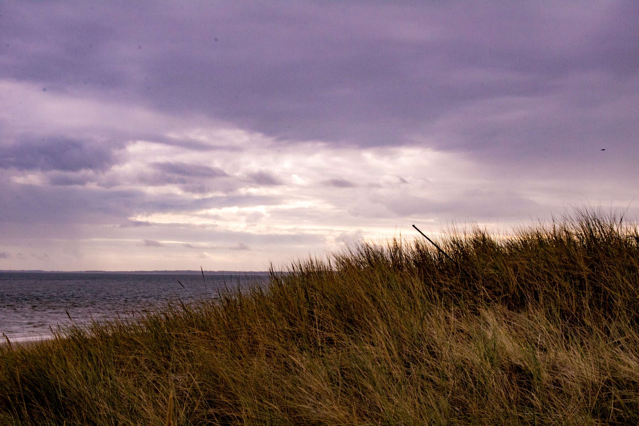 HOME | Minhjemmeside