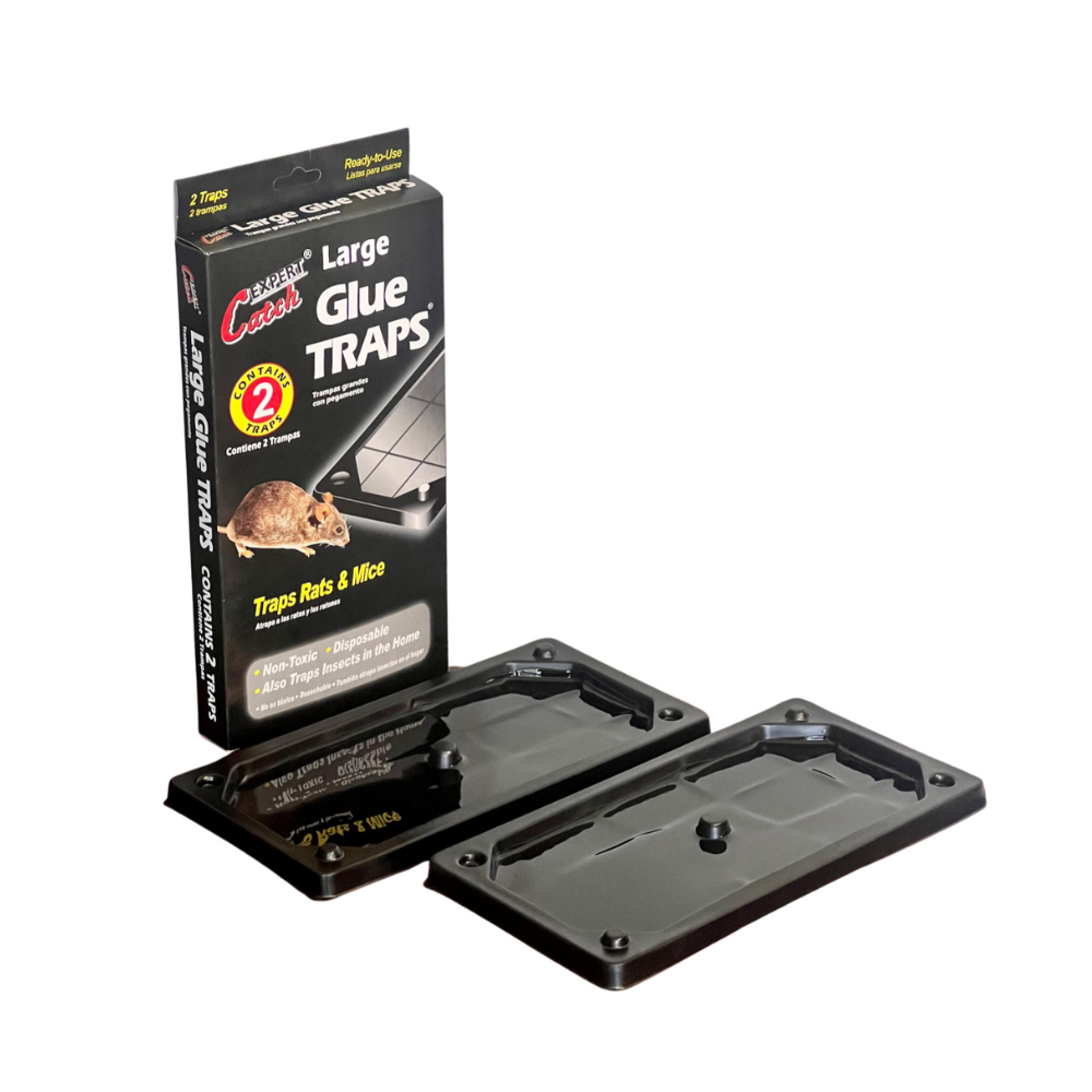 Rodent Large Glue Traps | David Grays