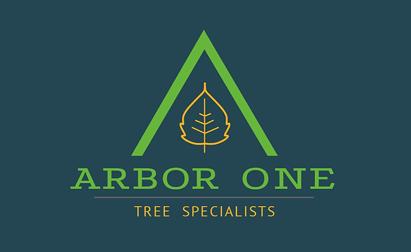 Tree Specialist | Arbor One Tree Specialists | Baldwin