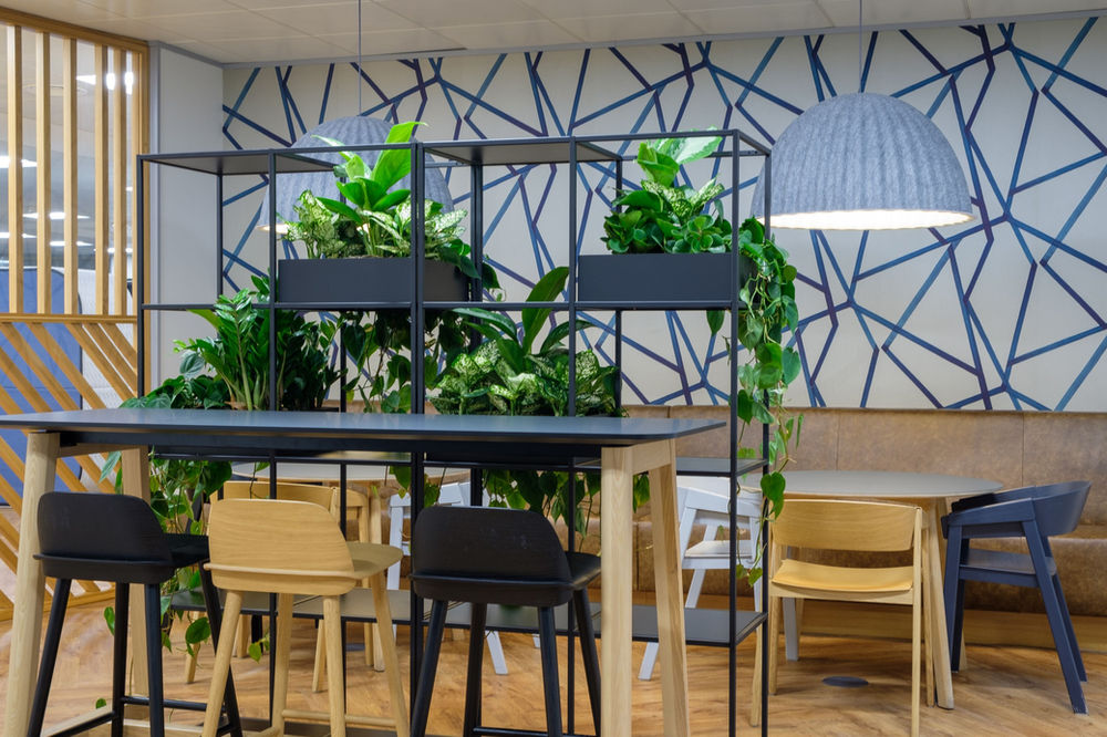 Top 6 Office Design Tips | Zentura