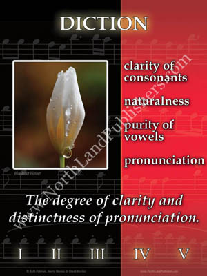 Choral Set - Music Performance Adjudication Posters | Dynamic