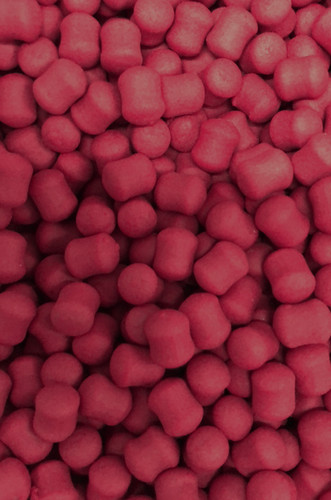 Bloodworm Wafters 10mm | carp-balls-bait