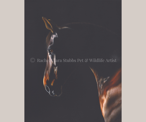 'Stance' Limited Edition Print | Rachel Stubbs Art
