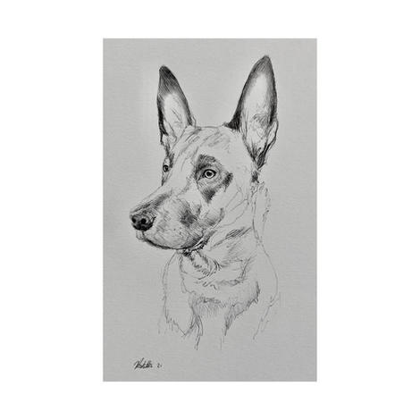 Biro Sketches | Rachel Stubbs Art | Pet & Wildlife Artist | Devon, UK