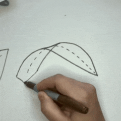 How to Draw Leaves Step-by-Step
