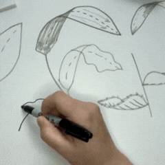 How to Draw Leaves Step-by-Step