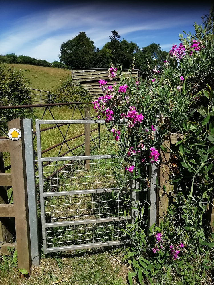 Walking The Quantocks In Somerset