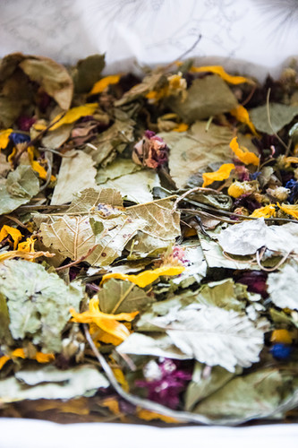 The Foliage Mix | Oakwood Forest