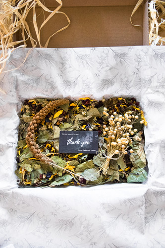 The Forest Foliage Box | Oakwood Forest