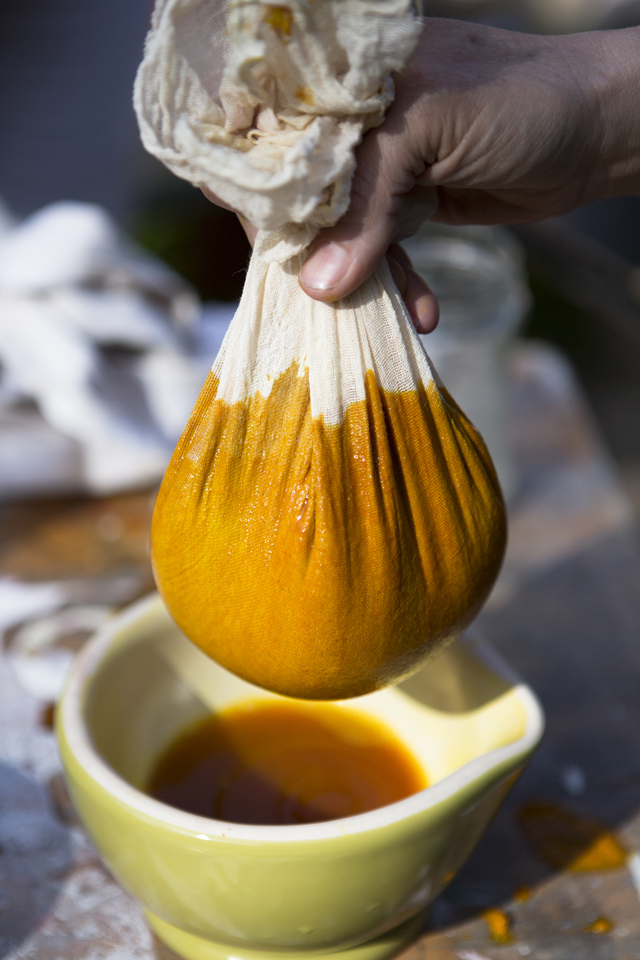 Alchemy of Pigment and Pattern