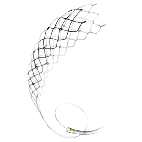 Catch View — self-expanding stent retriever | Compass Medical