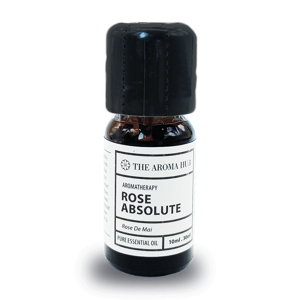 Rose Absolute Essential Oil | The Aroma Hub