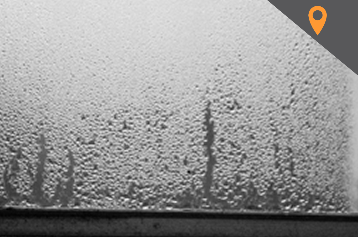 Damp, condensation & mould