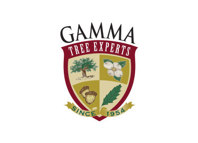 Your Trusted St. Louis Arborist: Gamma Tree Experts - Expert Tree Care