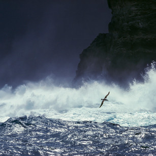 SEASCAPES | Kim Westerskov