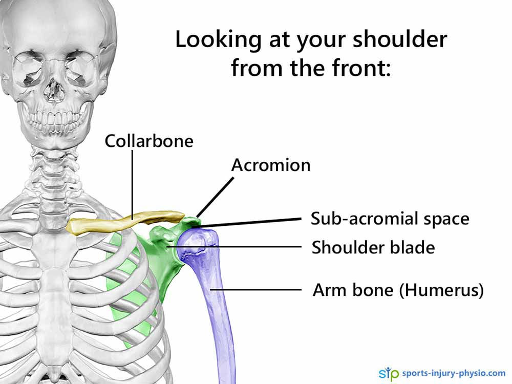 Shoulder Impingement – A common cause of shoulder pain | Sports Injury ...