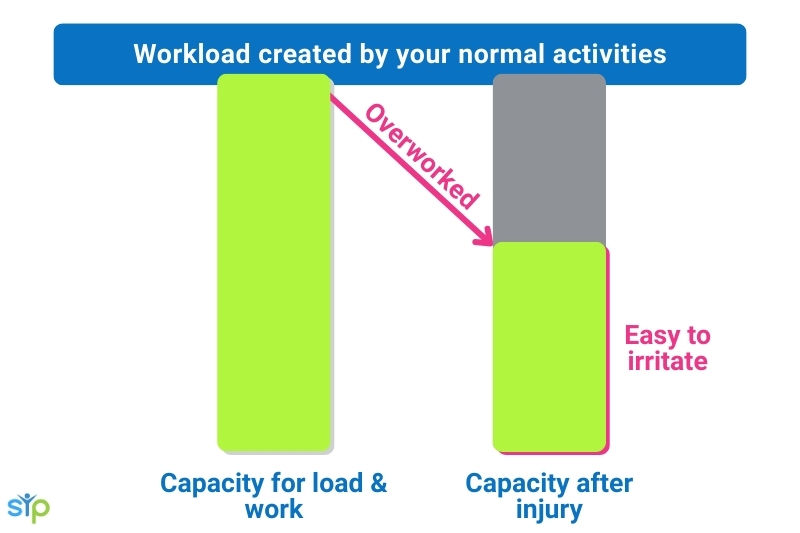 Proximal hamstring tendinopathy treatments – What works, what doesn’t ...