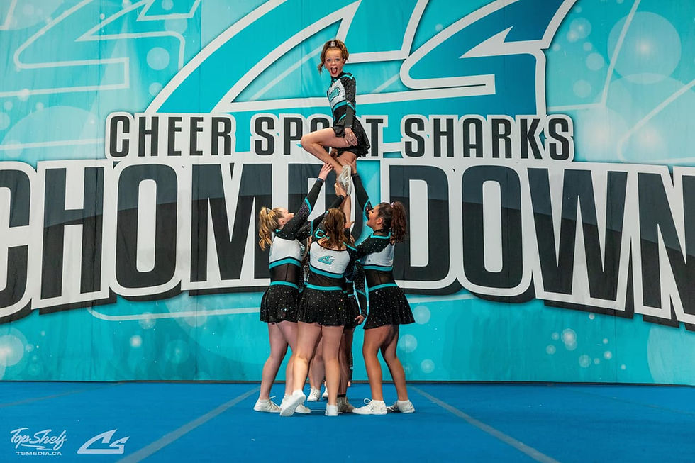 Cheer Sport Sharks / Ancaster