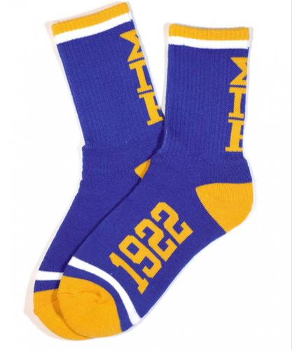 Sigma Gamma Rho Socks | Mysite