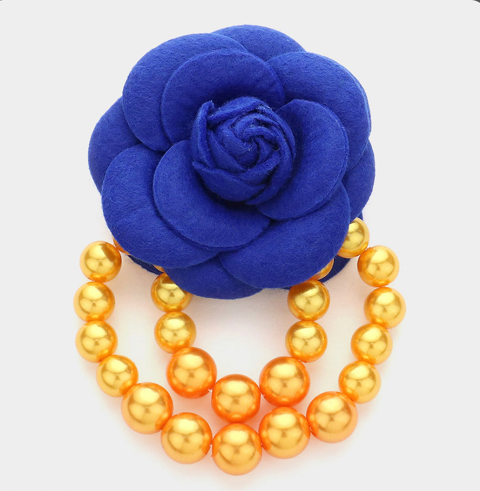 Sigma Gamma Rho | Mysite