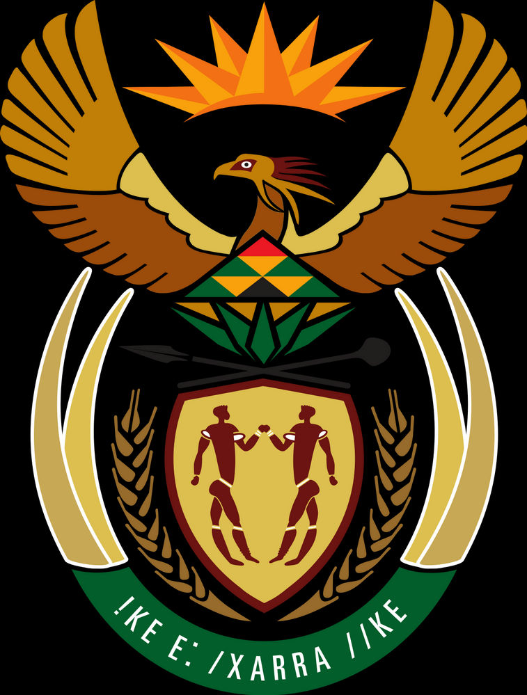 The Structure of the South African Government: An Overview | The Go-To Guy