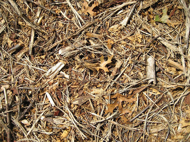 Brush Mulching & Land Clearing | texasbrushmulching