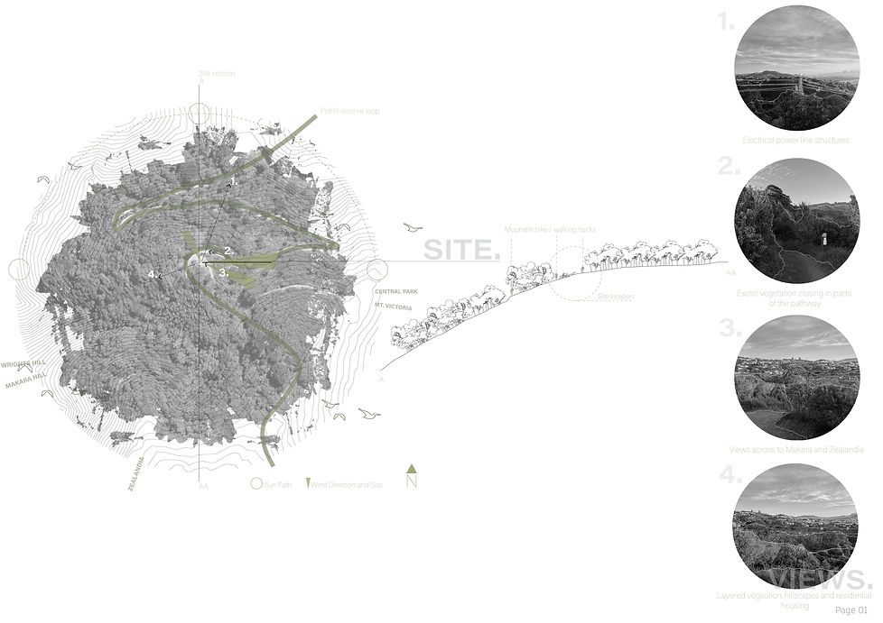 Year 3 | Polhill Reserve Loop | Amelia Platje