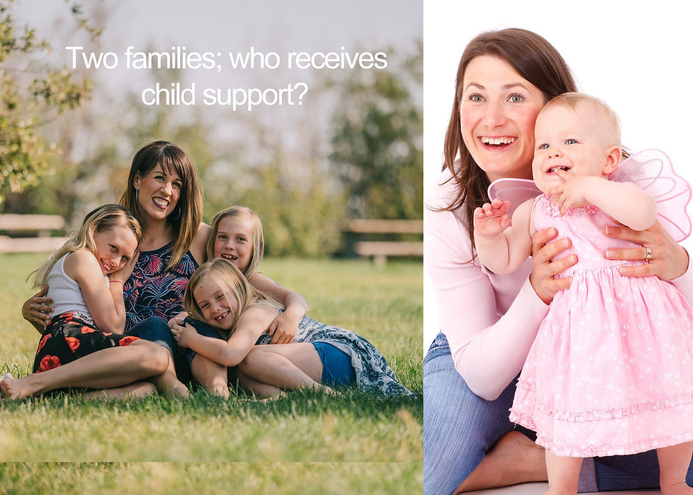 Undue Hardship In Paying Child Support For First V Second Family undue-hardship-in-paying-child-support-for-first-v-second-family