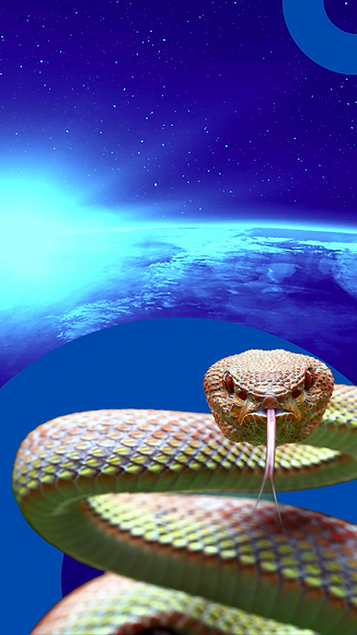 Resources Allen Nolan Ministries