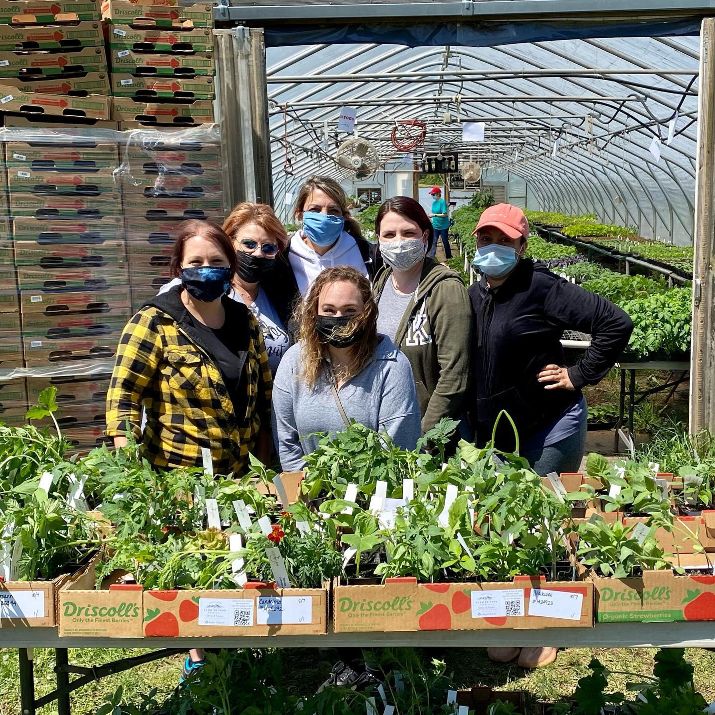 Volunter | The Seed Farm