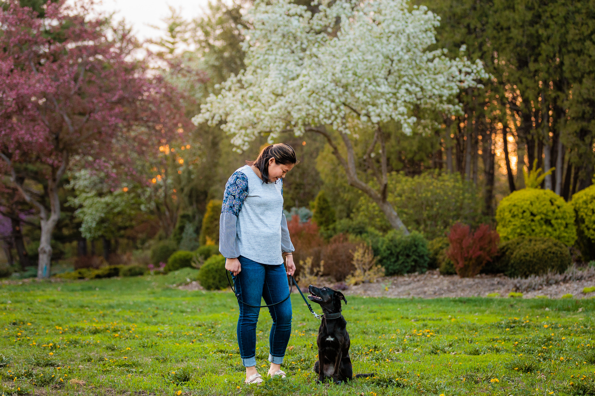 11 Spring Activities to Enjoy with Your Dog in the Twin Cities