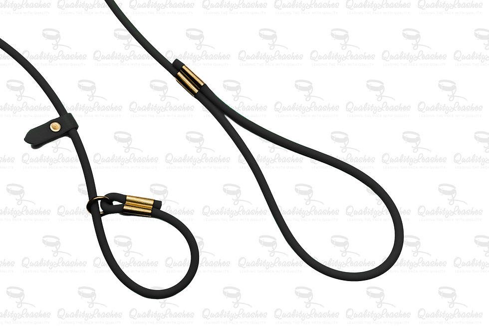 Biothane Rope Slip Leads | Quality Leashes