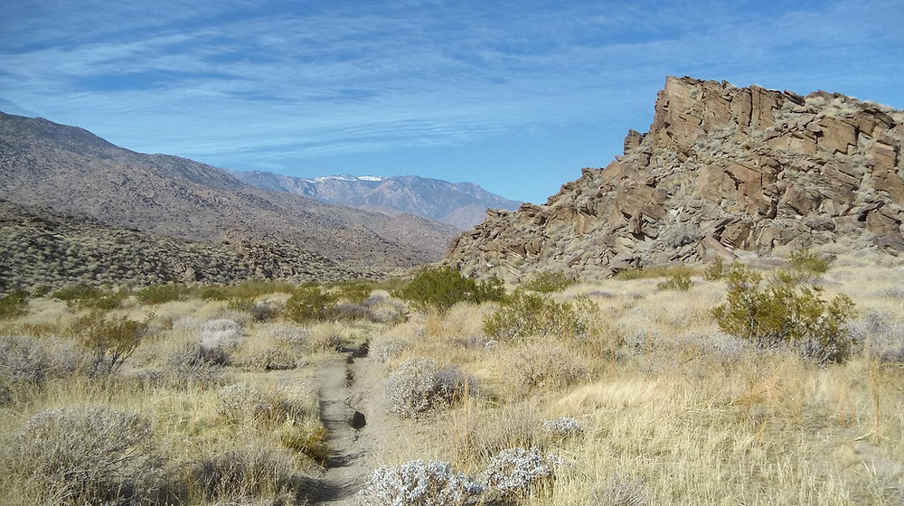 Palm Canyon Epic Day Trip