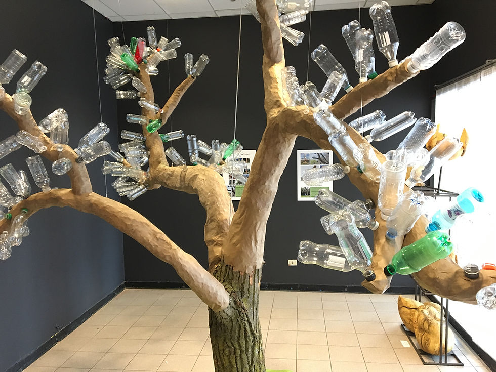 INSTALLATIONS | Bryan Northup Art Studio