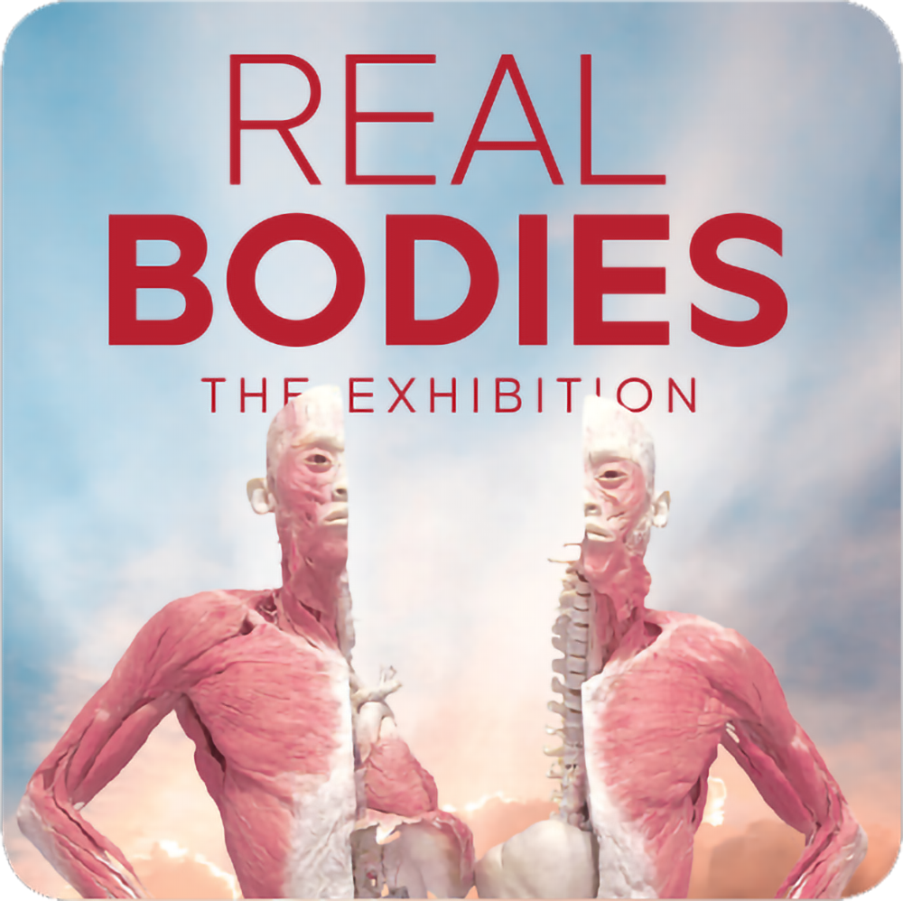 Real Bodies