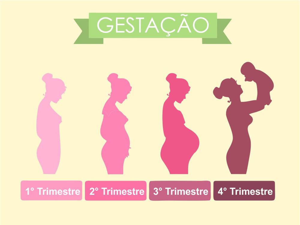 Gravidez - As transformações no corpo nos dois primeiros meses de gestação