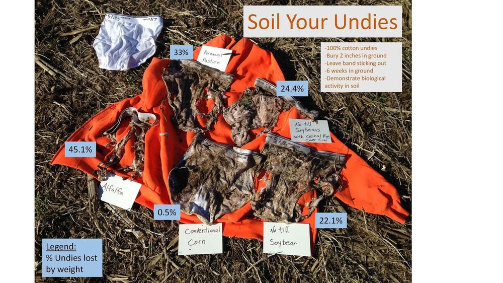 The Cotton Test aka Soil Your Undies