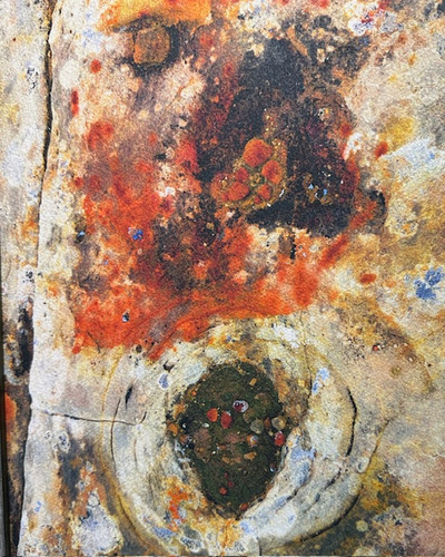 Rock Pool Art | Artists Alliance CB