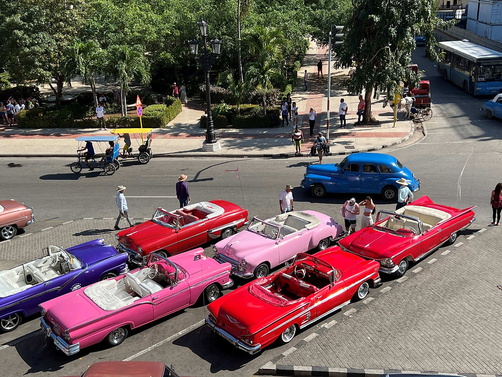 Cars from opera house | Brush Strokes