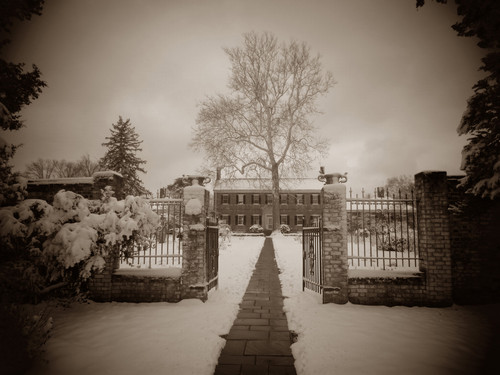 Chatham Winter | Brush Strokes