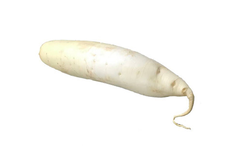 Chinese Daikon | thaifooddepot