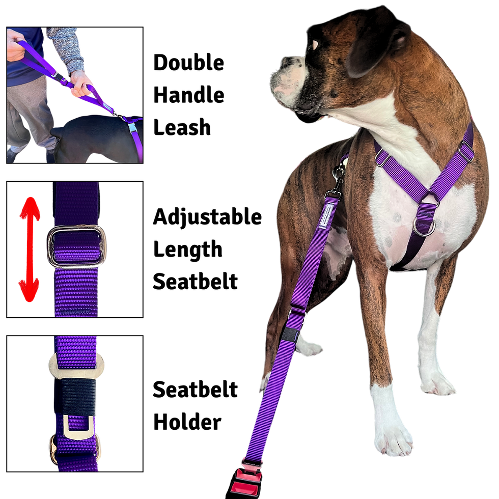 Control Leash | Stop Dogs Pulling | Made in USA