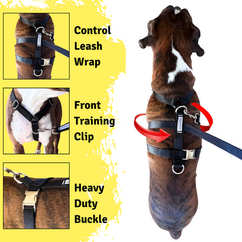 Control Harness | control-leash